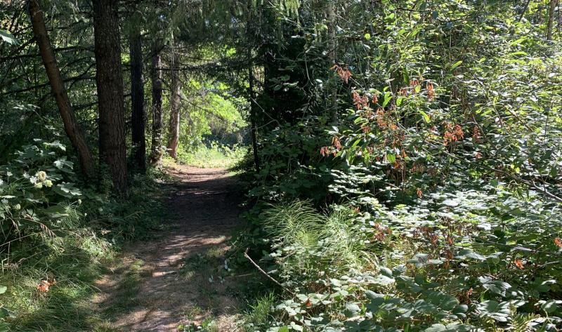 Boeckman Creek Interceptor and Trail Project | City of Wilsonville Oregon