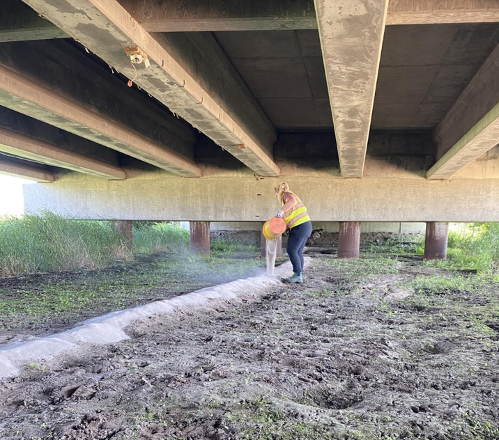 Boeckman Bridge Project | City of Wilsonville Oregon